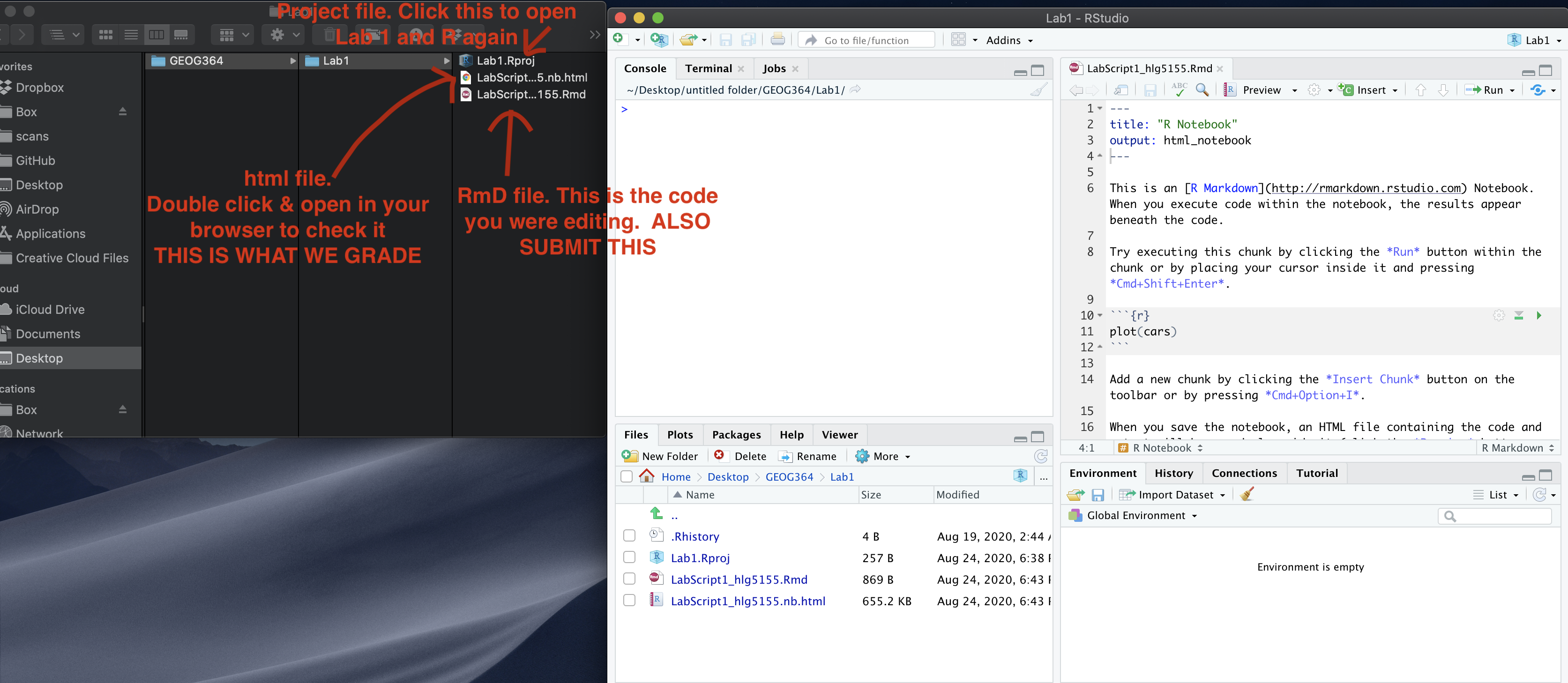Lab 1: Introduction to R